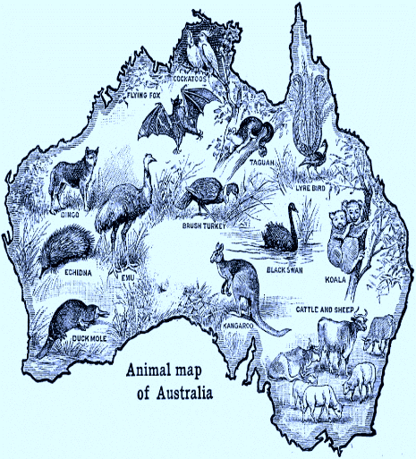 AUSTRALIAN REGION-ZOOGEOGRAPHY | BIOZOOM